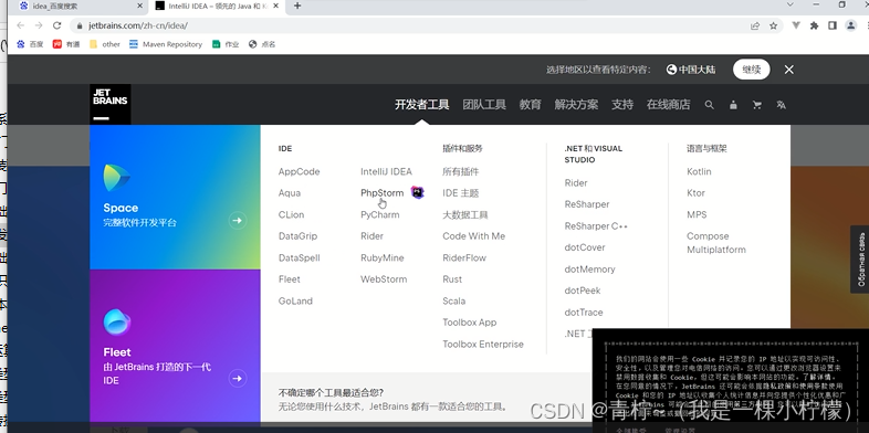 Java开发工具—idea Csdn博客 