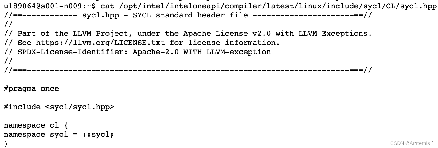 Intel DevCloud for oneAPI使用问题_intel devcloud mpi-CSDN博客