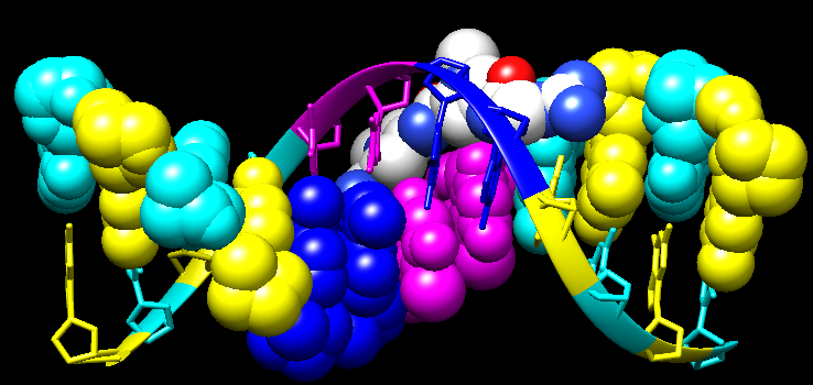 Chimera的简单应用_图文流程_chimera-debug-CSDN博客