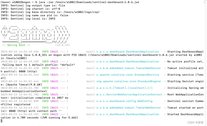 聊聊Sentinel-CSDN博客
