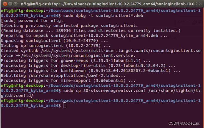 jetson nano(ubuntu)安装向日葵远程控制软件_50-slscreenagrentsvr.conf”-CSDN博客