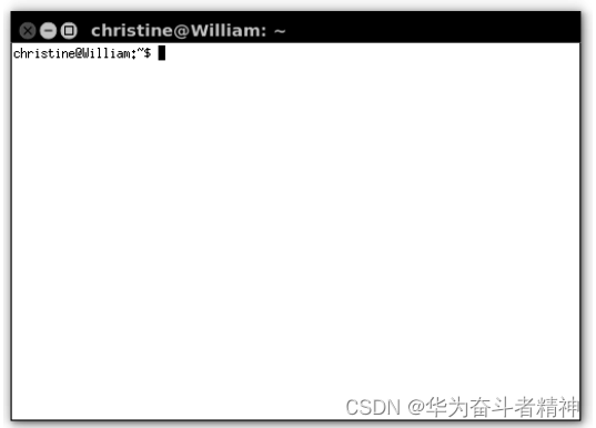 Linux命令行-第2章@走近亲爱的shell②xterm终端仿真器_终端仿真linux ansi vshell xterm-CSDN博客