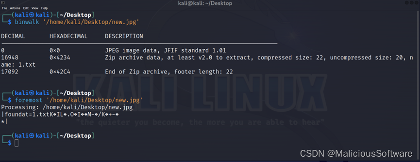 【信息隐写】_ctf wav-CSDN博客