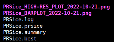 PRSice-2软件安装教程_wegt 下载prsice2-CSDN博客