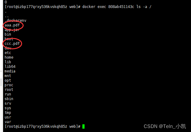 Java - Linux -Docker 调用 wkhtmltopdf 实现Url转HTML_docker 调用linux wkhtmltopdf-CSDN博客