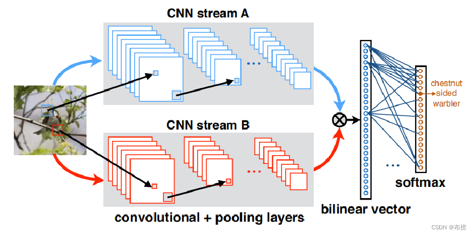 Bilinear CNN Model理解(附代码实现)-CSDN博客