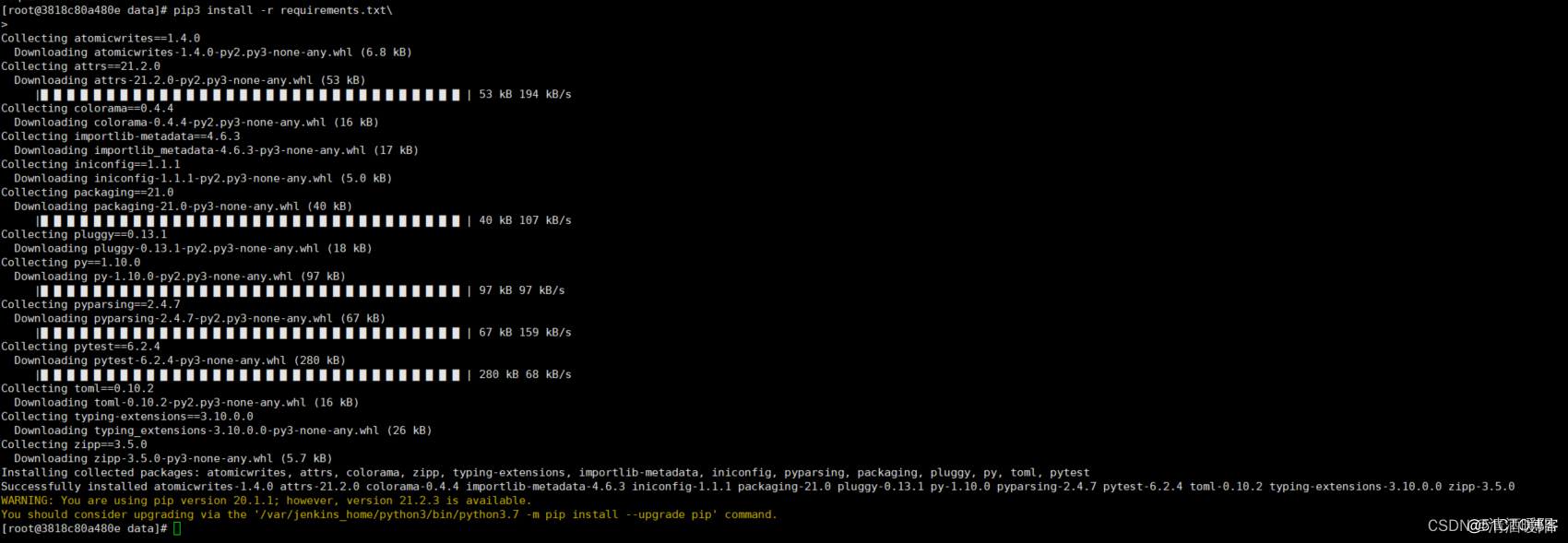 Liunx环境搭建4--Docker环境搭建 Jenkins+ Python +Allure 测试环境。方法一_linux系统python安装allure-CSDN博客
