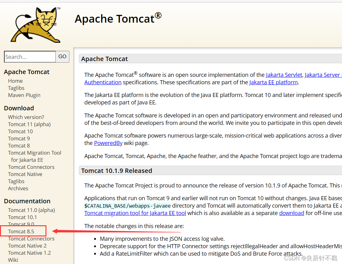 【tomcat】tomcat的认识走进后端的大门认识tomcat学会使用tomcat为什么后端代码能通过tomcat显示界面 Csdn博客