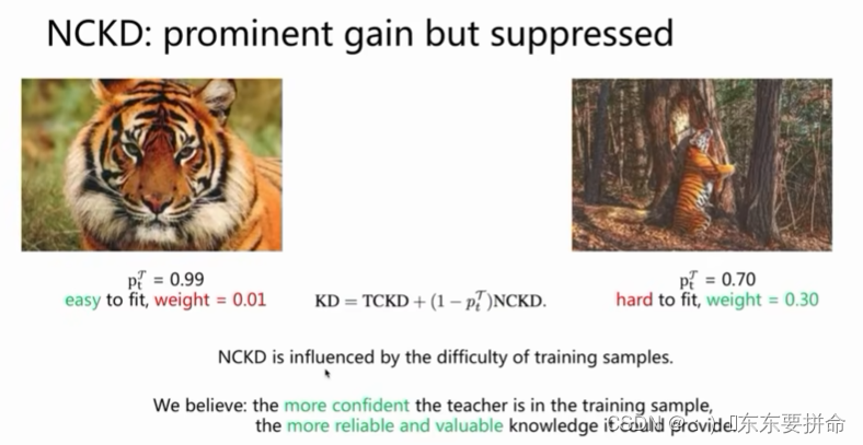 DKD笔记_dkd增量学习模型-CSDN博客