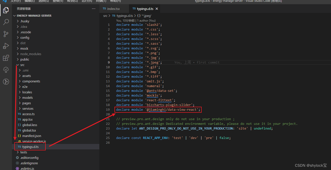 无法找到模块 Jiaminghidata View React”的声明文件。 Eworkworkenergy Manage Servernodemodules