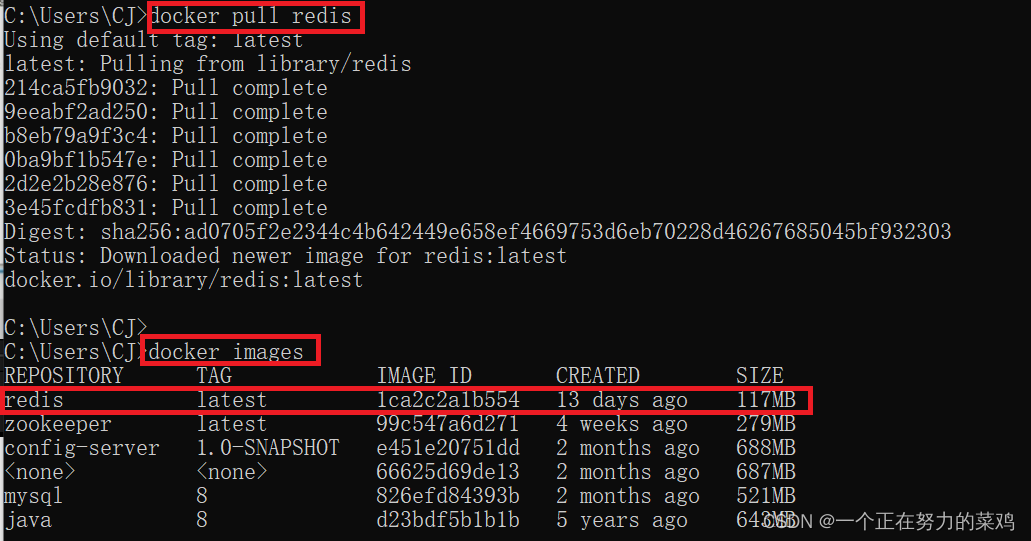 Docker安装redis Docker安装redis命令导入rdb文件 Csdn博客