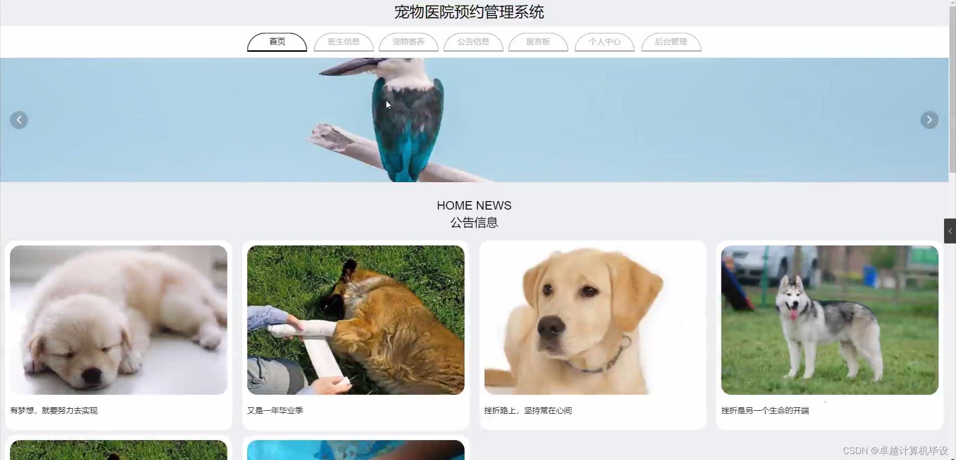 【开题报告】springboot宠物医院预约管理系统5l5a0计算机毕业设计宠物医院预约系统的研究内容 Csdn博客 