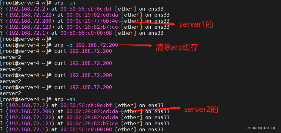 【lvs负载均衡】-CSDN博客