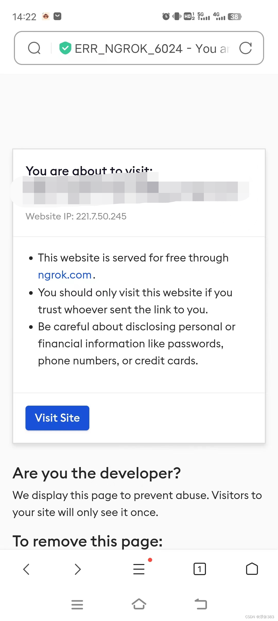 使用ngrok给本机做外网代理_ngrok代理端口-CSDN博客