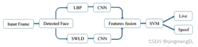 Face Anti-Spoofing FAS 综述_qingmengEL的博客-CSDN博客