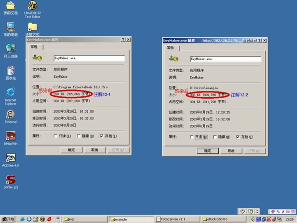 计算机病毒——32位文件型病毒_virus.exe_Yo_ol的博客-CSDN博客
