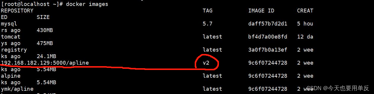 使用aliyun的registry上传下载镜像以及使用registry镜像运行容器上传下载镜像_registry.tar.gz docker镜像 下载-CSDN博客