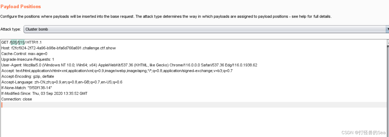 CTF-Web28（目录爆破）-CSDN博客