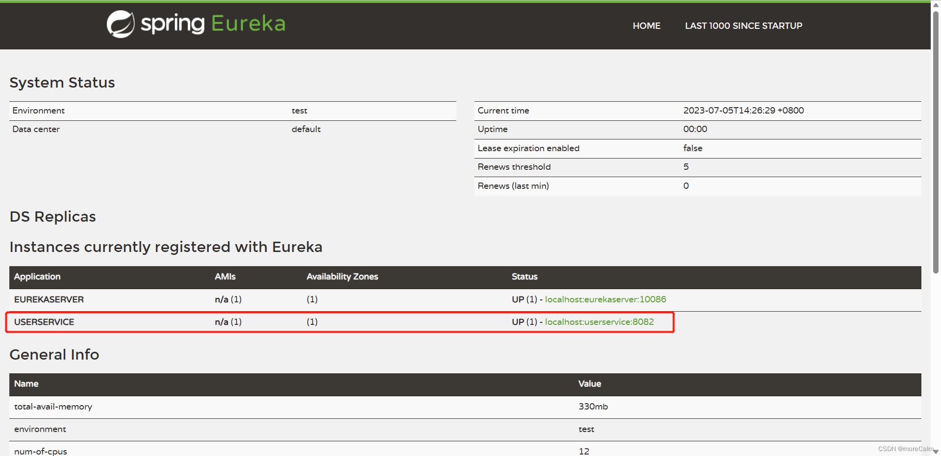 微服务项目中使用Eureka注册中心_微服务怎么注册到注册中心-CSDN博客