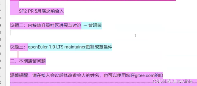 【openeuler】openeuler Kernel Sig 双周例会 2023 05 05linuxldinvicible 华为云 