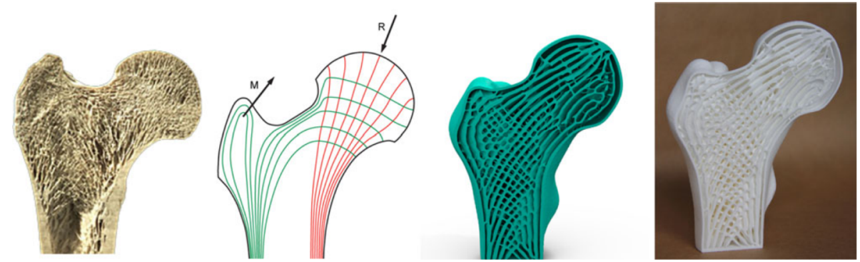 拓扑优化科研（持续更新帖）_topology optimization of coated structures and mat-CSDN博客