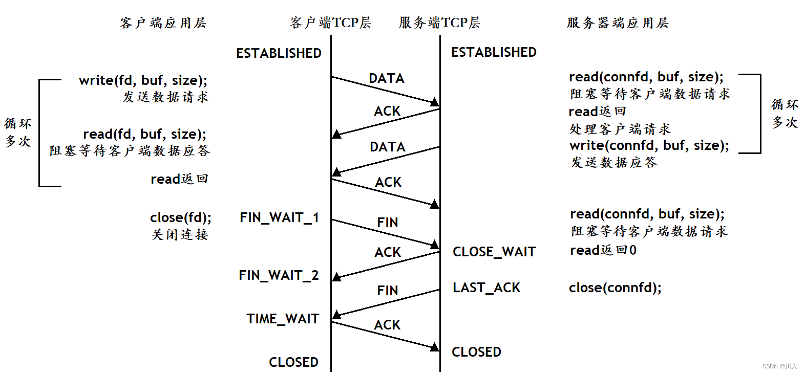 【网络】-- 应用层_sock.hpp-CSDN博客