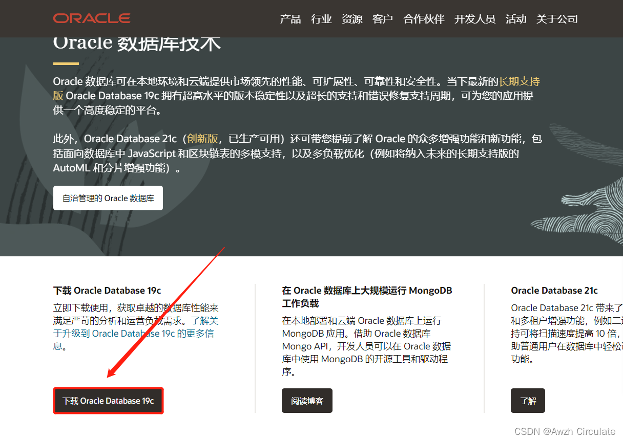 Oracle19c 安装 DataGrip 连接 Vistual Studio 2022 测试 常见问题_datagrip 连接oracle-CSDN博客