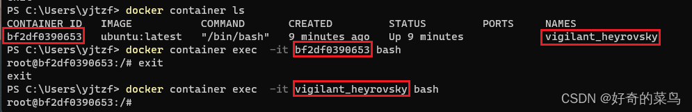 Docker镜像、容器操作_docker pull sha256-CSDN博客