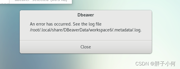 Linux下启动DBeaver报错：An error has occurred.See the log file_dbeaver an ...