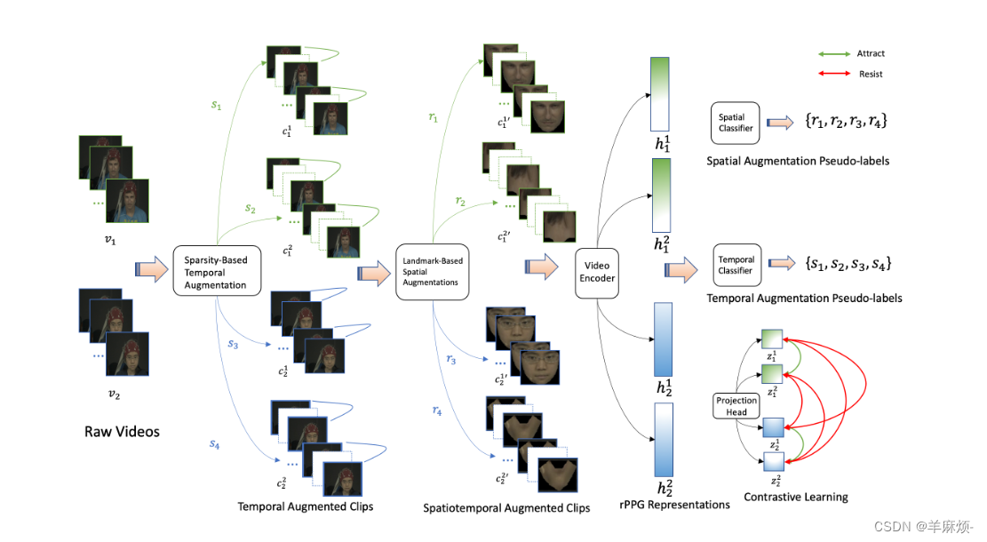 深度学习实验——蒸馏模型实战（一）_ubfc-rppg database-CSDN博客