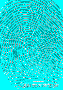 python指纹识别算法（亲测代码可用）_python 指纹识别-CSDN博客