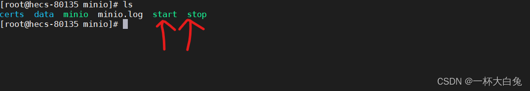 MinIO配置https访问（Linux）_certgen-CSDN博客