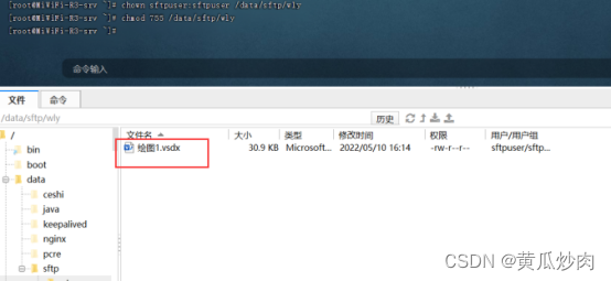 Linux服务器下搭建SFTP服务_linux修改sftp用户密码-CSDN博客