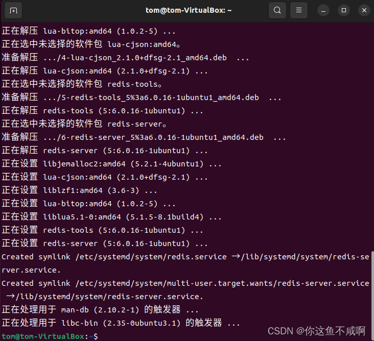 VirtualBox安装Ubuntu后，Redis安装及连接配置_vmware虚拟机ubuntu安装redis-CSDN博客