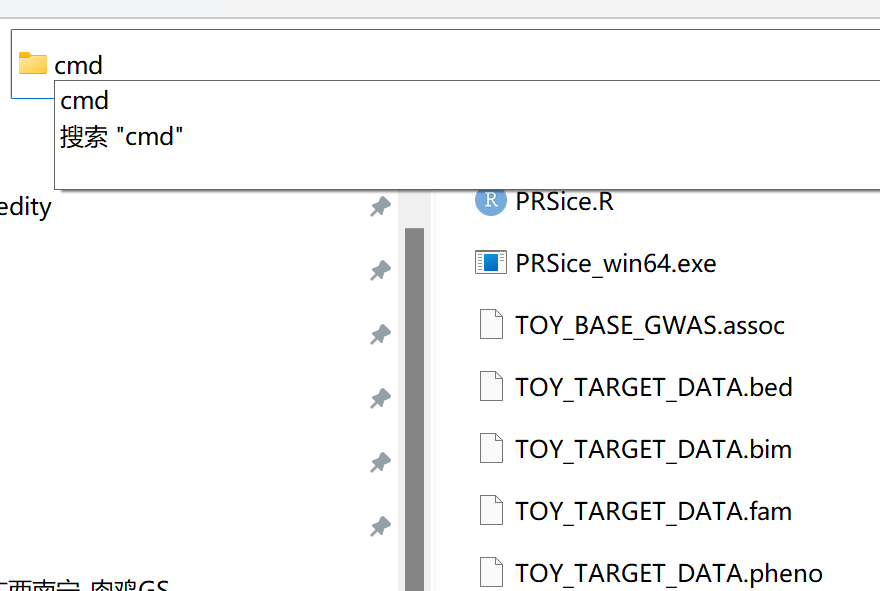 PRSice-2在windows系统安装教程_windows系统prsice安装-CSDN博客