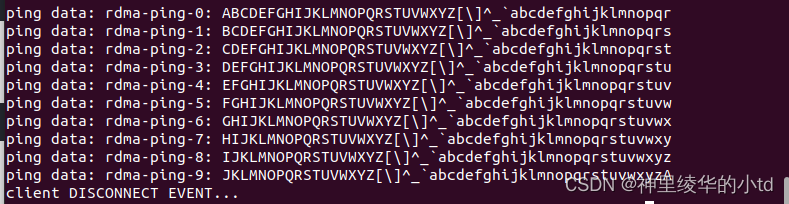 【RDMA】RDMA网卡通讯_rdma网卡状态-CSDN博客