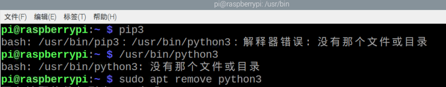 2021-09-06树莓派终端python3无法查找版本问题_树莓派输入python指令不显示python版本怎么办-CSDN博客