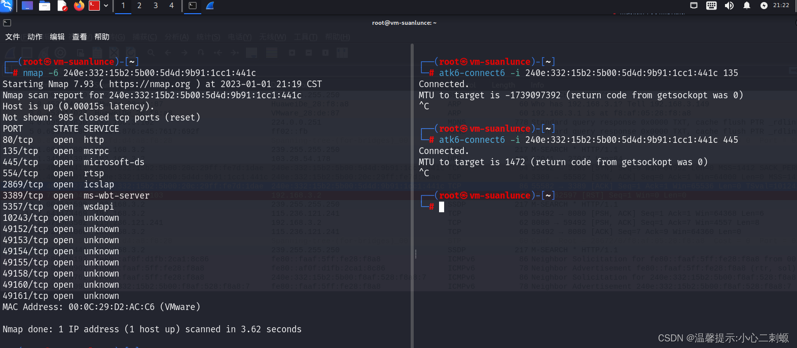 Thc-Ipv6 使用-CSDN博客