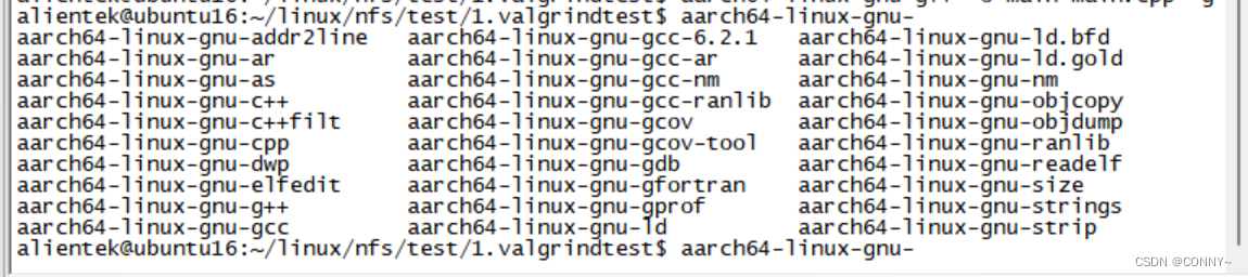 内存泄漏，valgrind移植到arm64的完整记录_valgrind arm-CSDN博客