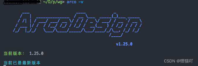 arco design pro 创建项目为啥使用的是pnpm_arco design node版本-CSDN博客