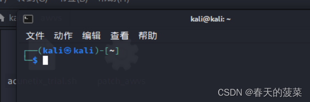 【kali】如何进入root用户_kali root-CSDN博客