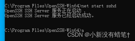 Windows Server 2008 R2安装openSSH服务_server 2008 开启ssh登录-CSDN博客