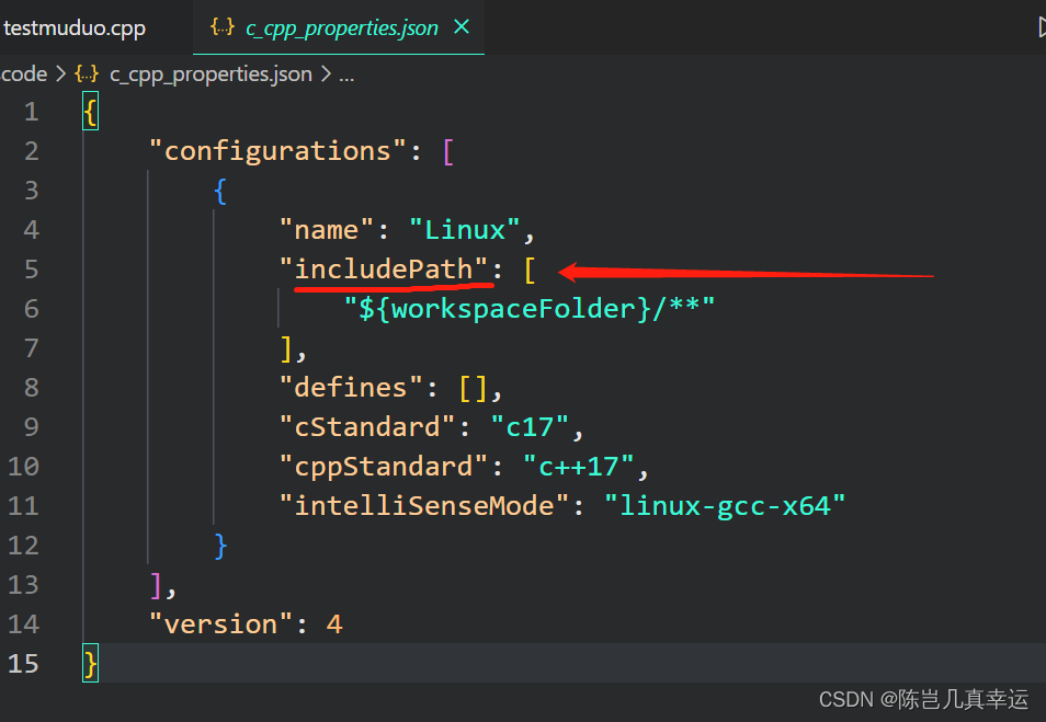 muduo 07 VsCode如何配置我们相应的头文件的搜索路径，库文件的搜索路径以及想要连接的库_vscode设置库路径-CSDN博客