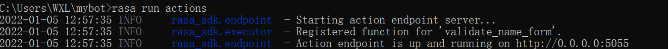 基于Rasa框架搭建中文机器人对话系统_rasa2.0 构建对话机器人加载模型构建服务端代码-CSDN博客