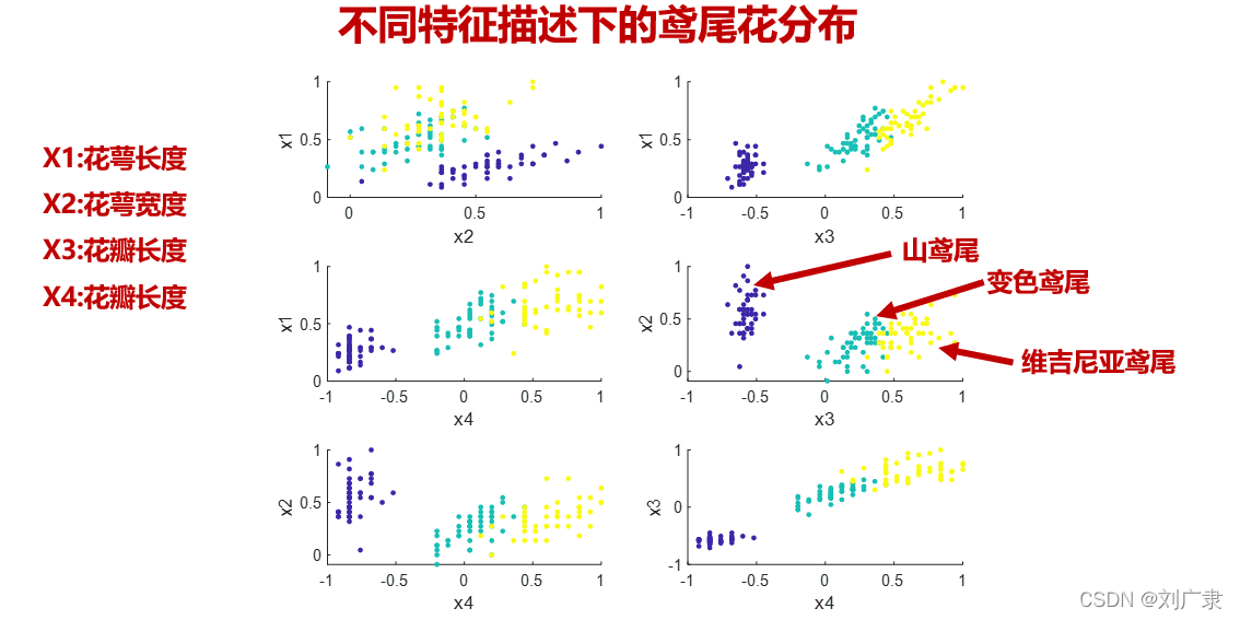 主成分分析应用实例matlab:鸢尾花分类主成分分析法应用实例 Csdn博客