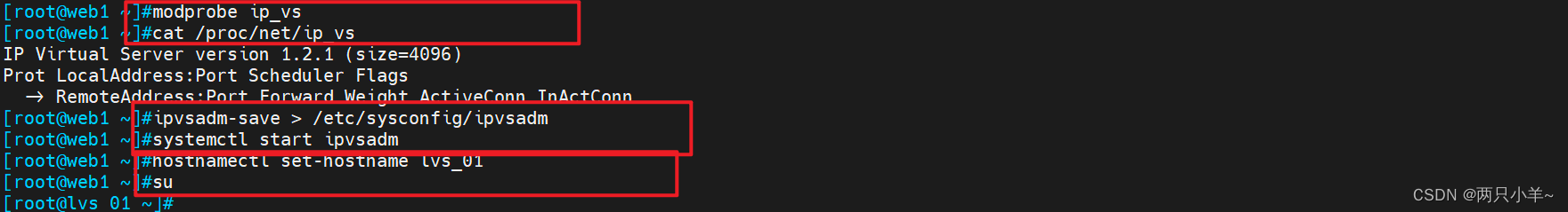 LVS+Keepalived+nfs 集群_lvs nfs-CSDN博客