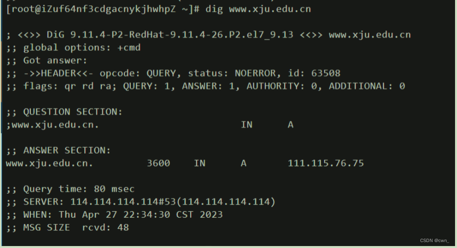 实验5 DNS协议分析与测量_cwn_的博客-CSDN博客