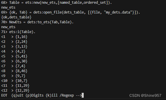 erlang ETS与DETS入门_erlang dets-CSDN博客
