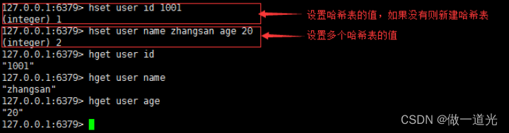 8.Redis哈希类型(hash)操作命令_redis哈希listpack和哈希表-CSDN博客