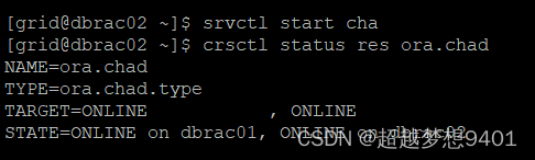 CRS-2878: Failed to restart resource ‘ora.storage‘_ora.storage 无法启动-CSDN博客